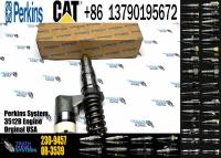 China New common rail injector 230-9457 249-0746 386-1769 392-0200 392-0201 392-0202 for diesel engine CAT for sale