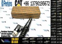 China New common rail injector 230-9457 249-0746 386-1769 392-0200 392-0201 392-0202 for diesel engine CAT for sale