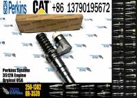 China New common rail injector 250-1302 392-0224 250-1304 392-0225 250-1303 392-0226 for diesel engine CAT for sale