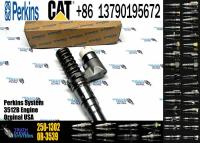 China New common rail injector 250-1302 392-0224 250-1304 392-0225 250-1303 392-0226 for diesel engine CAT for sale
