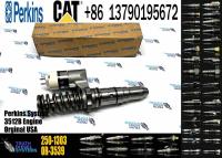China Excavator Parts 3512B Engine Injector 250-1303 392-0226 250-1306 392-0212 250-1308 392-0213fuel injector For Excavator for sale
