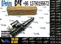 China Excavator Parts 3512B Engine Injector 250-1303 392-0226 250-1306 392-0212 250-1308 392-0213fuel injector For Excavator for sale