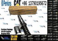 China New common rail injector 250-1304 392-0225 250-1303 392-0226 250-1306 392-0212for diesel engine CAT for sale
