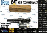 China New common rail injector 250-1304 392-0225 250-1303 392-0226 250-1306 392-0212for diesel engine CAT for sale