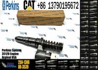 China New common rail injector 250-1304 392-0225 250-1303 392-0226 250-1306 392-0212for diesel engine CAT for sale
