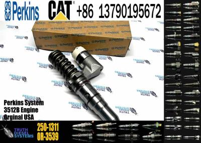 China New common rail injector250-1311 392-0204 250-1302 392-0224 250-1304 392-0225 for diesel engine CAT for sale