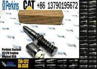 China New common rail injector 250-1312 392-0214 392-6214 392-0215 250-1314 392-0216 for diesel engine CAT for sale