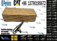 China New Common Rail Injector 310-9067 10R-7668 2645A751 10R-7938 320-0655 10R-7939 For Diesel Engine CAT for sale