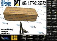 China New Common Rail Injector 310-9067 10R-7668 2645A751 10R-7938 320-0655 10R-7939 For Diesel Engine CAT for sale