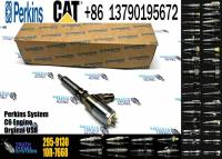 China New Common Rail Injector 295-9130 10R-7672 382-0480 2645A718 282-0490 10R-7673 For Diesel Engine CAT for sale