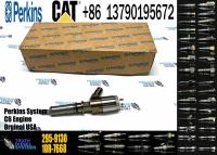 China New Common Rail Injector 295-9130 10R-7672 382-0480 2645A718 282-0490 10R-7673 For Diesel Engine CAT for sale