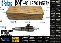 China New Common Rail Injector 295-9130 10R-7672 382-0480 2645A718 282-0490 10R-7673 For Diesel Engine CAT for sale