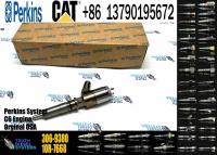 China Common Rail Injector 306-9380 2645A734 306-9390 10R-7674 310-9067 10R-7668 For Diesel Engine CAT for sale