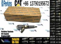 China New Common Rail Injector 320-0680 2645A747 2645A709 10R-7671 295-9130 10R-7672 For Diesel Engine CAT for sale