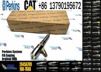 China New Common Rail Injector 320-0680 2645A747 2645A709 10R-7671 295-9130 10R-7672 For Diesel Engine CAT for sale