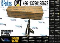 China New Common Rail Injector 320-0680 2645A747 2645A709 10R-7671 295-9130 10R-7672 For Diesel Engine CAT for sale