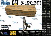 China New Common Rail Injector 320-0680 2645A747 2645A709 10R-7671 295-9130 10R-7672 For Diesel Engine CAT for sale