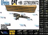 China 10R-7672 306-9380 C6.6 Fuel Injector 2645A734 10R7672 3069380 2645A717 2645A733 320D Excavator Injector for sale