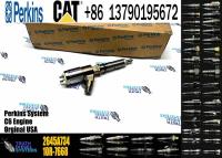 China 10R-7672 306-9380 C6.6 Fuel Injector 2645A734 10R7672 3069380 2645A717 2645A733 320D Excavator Injector for sale
