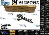 China 10R-7672 306-9380 C6.6 Fuel Injector 2645A734 10R7672 3069380 2645A717 2645A733 320D Excavator Injector for sale