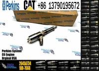 China 10R-7672 306-9380 C6.6 Fuel Injector 2645A734 10R7672 3069380 2645A717 2645A733 320D Excavator Injector for sale