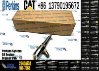 China 10R-7672 306-9380 C6.6 Fuel Injector 2645A734 10R7672 3069380 2645A717 2645A733 320D Excavator Injector for sale