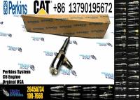China 10R-7672 306-9380 C6.6 Fuel Injector 2645A734 10R7672 3069380 2645A717 2645A733 320D Excavator Injector for sale