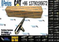 China High Performance New Diesel Fuel Injector 2645A747 3200680 320-0680 For CAT 323D Excavator C6.6 Engine for sale