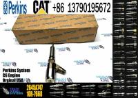 China High Performance New Diesel Fuel Injector 2645A747 3200680 320-0680 For CAT 323D Excavator C6.6 Engine for sale