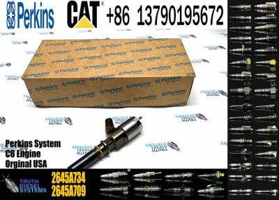 China New Common Rail Injector 306-9380 2645A734 306-9390 10R-7674 310-9067 10R-7668 For Diesel Engine CAT for sale