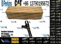 China New Common Rail Injector 306-9380 2645A734 306-9390 10R-7674 310-9067 10R-7668 For Diesel Engine CAT for sale