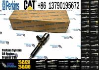 China New Common Rail Injector 2645A751 10R-7938 320-0655 10R-7939 320-0688 321-0990 For Diesel Engine CAT for sale