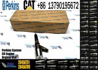 China New Common Rail Injector 2645A751 10R-7938 320-0655 10R-7939 320-0688 321-0990 For Diesel Engine CAT for sale