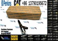 China New Common Rail Injector 2645A751 10R-7938 320-0655 10R-7939 320-0688 321-0990 For Diesel Engine CAT for sale