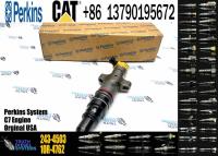 China New Common Rail Injector 20R-8066 20R-8057 557-7627 243-4503 20R-9079 2OR-8071 For Diesel Engine CAT for sale