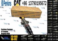 China New Common Rail Injector 20R-8066 20R-8057 557-7627 243-4503 20R-9079 2OR-8071 For Diesel Engine CAT for sale