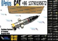 China Diesel Injector 387-9438 266-4446 387-9438 10R7222 328-2577 293-4067 245-3518 for sale