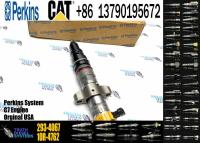 China Diesel Injector 387-9438 266-4446 387-9438 10R7222 328-2577 293-4067 245-3518 for sale