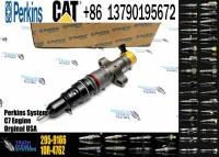China New Common Rail Injector 20R-8066 295-9166 387-9441 20R-8067 20R-8069 20R-8057 For Diesel Engine CAT for sale