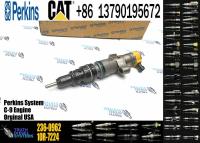 China Fuel injector 387-9427 328-2585 295-1411 268-1835 263-8218 10R7225 20R1926 Engine C7 3879427 3282585 2951411 2681835 263 for sale