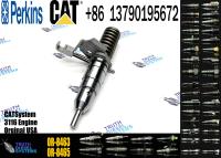 China Excavator Parts 3116 Engine Injector 0R-3742 0R-8463 0R-8633 20R-4179 0R-8471 for sale