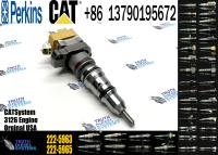 China Injector fuel nozzle 179-6020 138-8756 1OR-0781 222-5963 198-6877 222-5972diesel engine 3126B injector nozzle for sale