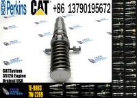 China New common rail injector 7E-9983 7E-3384 9Y-4544 7C-9577 0R-3883 7E-8836 for diesel engine CAT for sale