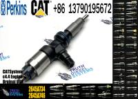 China CAT C6.6 injector 306-9380 2645A734 Injection Nozzle 282-0490 2645A709 for E312D E313D E320D E321D for sale