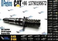 China Excavator Injector 7C-4174 7C4174 0R-2923 0R2923 7C-4175 7C4175 0R-2924 0R2924 7C4175 0R-2924 for C3500A Engine for sale