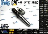 China New Common Rail Injector 10R-8795 20R3483 20R-3247 11R-0680 389-1969 379-0509 386-1771 10R-3255 for diesel Engine CAT for sale
