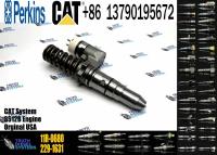 China New Common Rail Injector 10R-8795 20R3483 20R-3247 11R-0680 389-1969 379-0509 386-1771 10R-3255 for diesel Engine CAT for sale