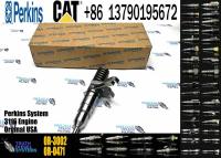 China Common Rail Injector Assy Injector 211-3025 10R-0955 10R-8500 229-5919 10R-1000 Engine C15 2113025 for sale