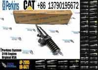 China Diesel Engine Parts Fuel Injector 4P2995 4P-2995 0R8471 Common Rail Fuel Injector for CAT 3116 Injector Nozzle for sale