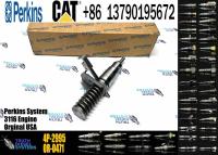 China Diesel Engine Parts Fuel Injector 4P2995 4P-2995 0R8471 Common Rail Fuel Injector for CAT 3116 Injector Nozzle for sale